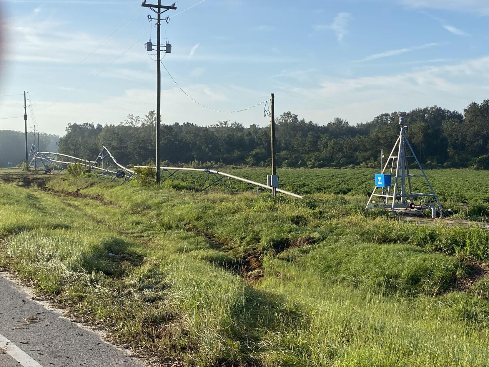 Helene damage to Georgia farms estimated at $6.46 billion | Moultrie ...