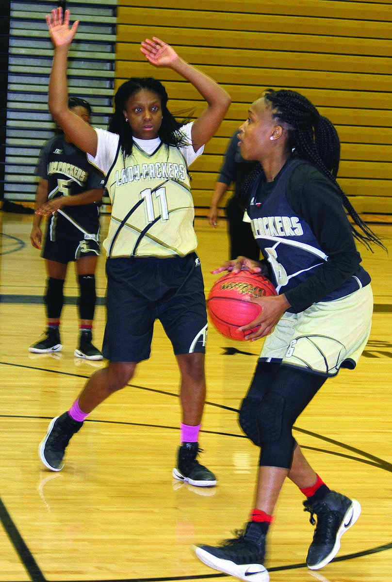 Lady Packer hoops built for big things in 2017-18 | Moultrie Observer
