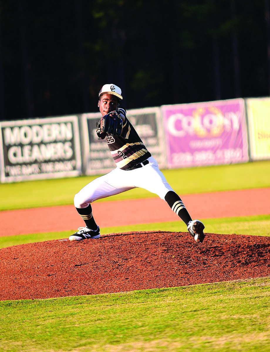 Clark delivers a pitch | Moultrie Observer