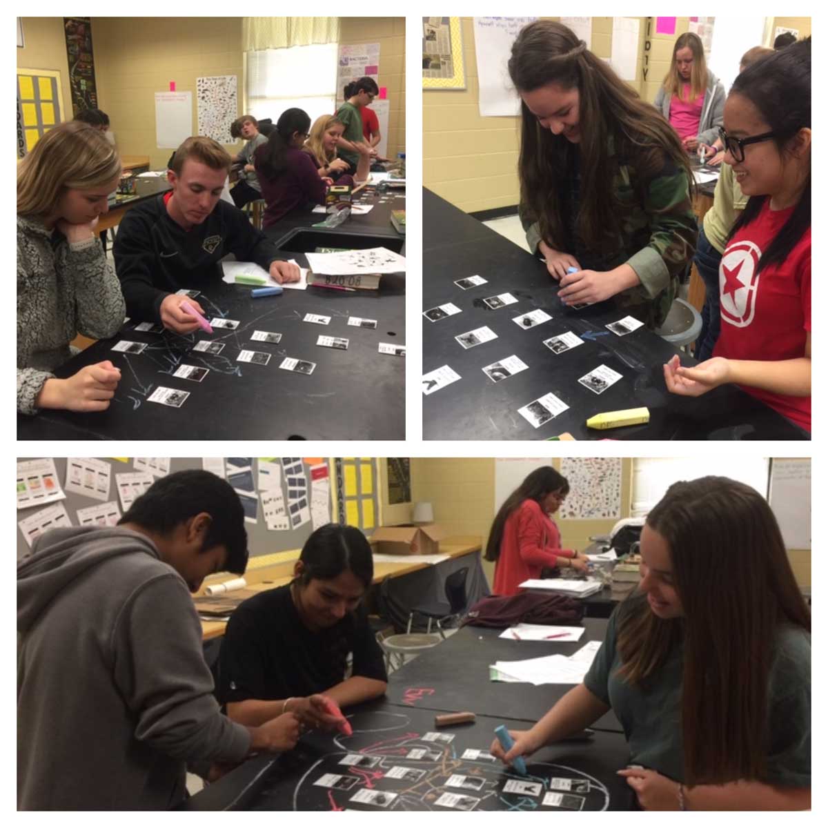 Biology students study food webs, ecosystems | Moultrie Observer