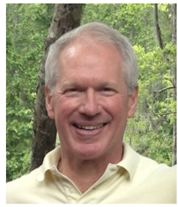 GARY WISENBAKER: Calamitous but quiet: Georgia’s pulpwood plant crisis ...