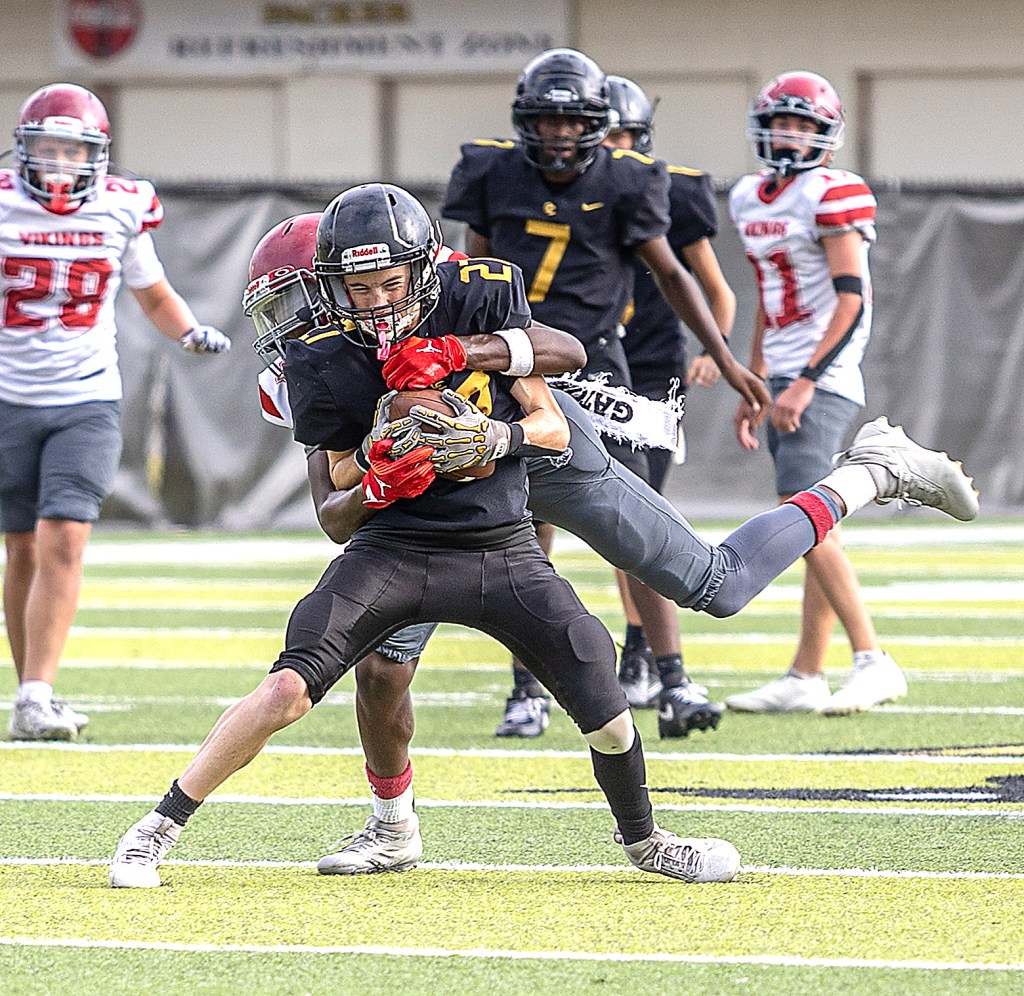 Hanging on | Moultrie Observer